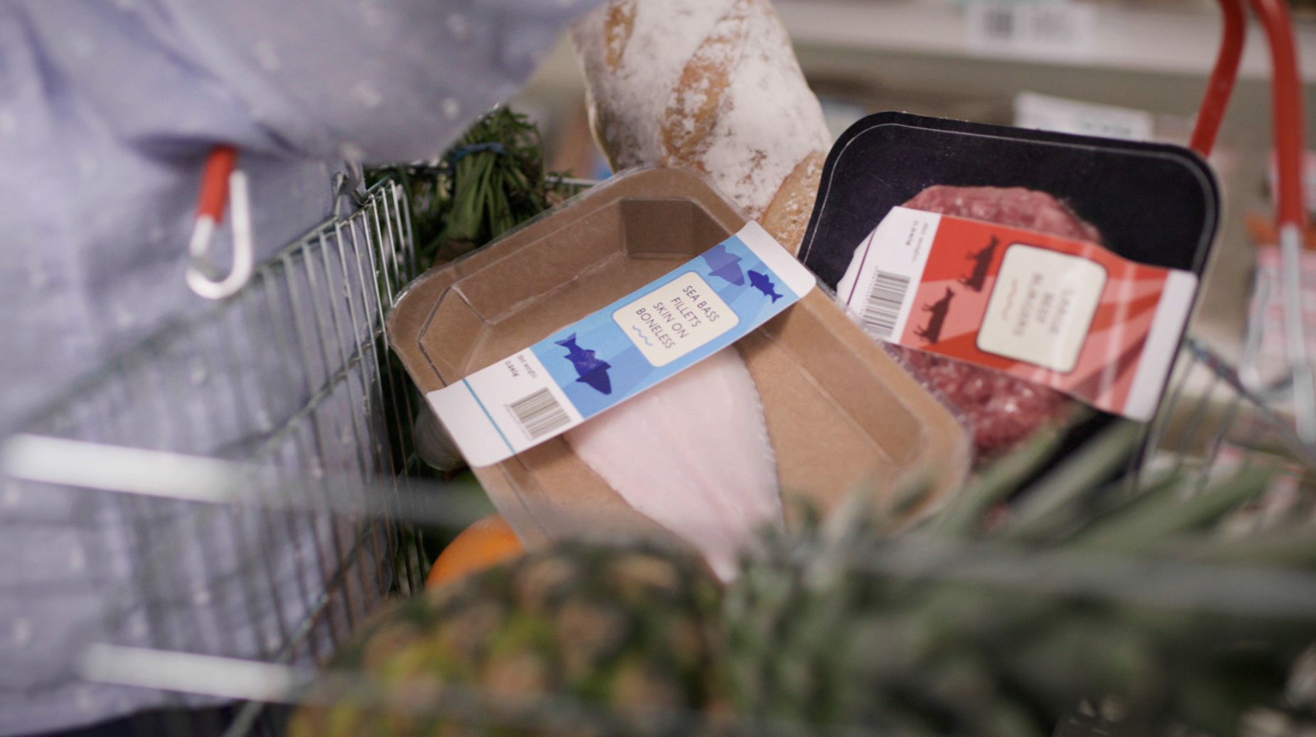 Solidus: eerste duurzaamheidsrapport en benoeming ‘head of ...